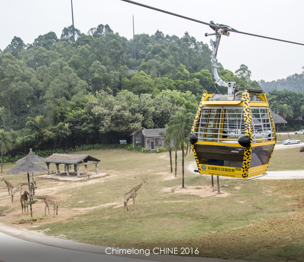 Le transport aérien | Sigmacabins